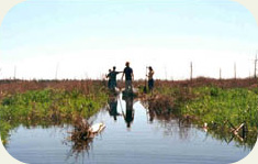 About Us - Southeastern Louisiana University