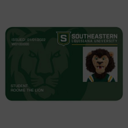 Auxiliary Services - Southeastern Louisiana University