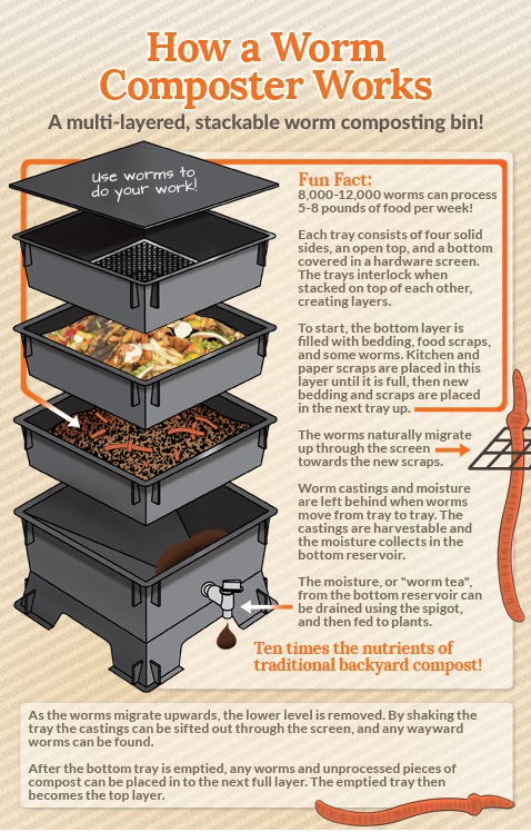 Worm Bin Layers Farmer Uses Tarps Left Over From The Elections To
