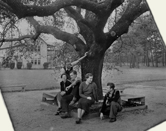 Friendship Oak - Southeastern Louisiana University